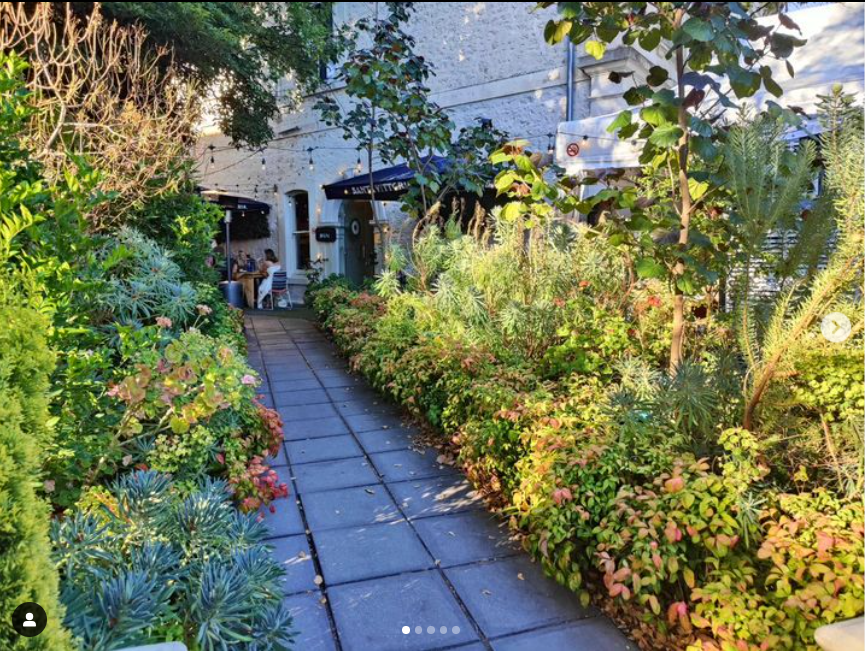 Ruby Red Flamingo - Ambient Menu