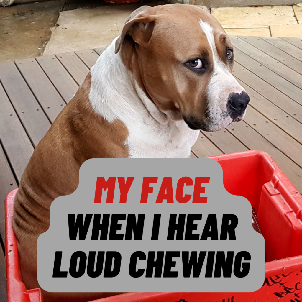 Why does the Sound of Chewing Trigger Me? 😡 - Ambient Menu